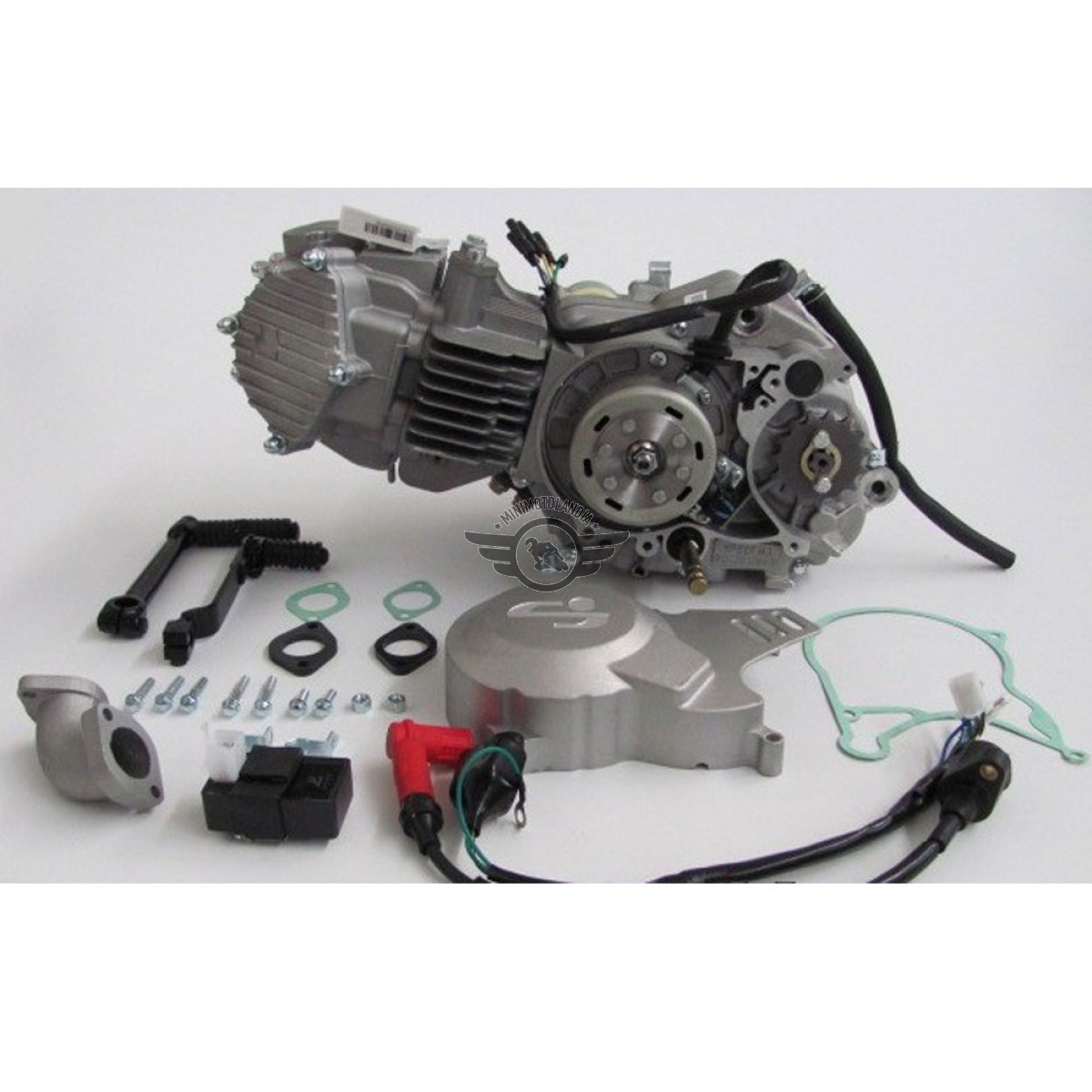 Motore YX 160cc ZR-1 Piattelli Ergal Testa 53mm | Minimotolandia