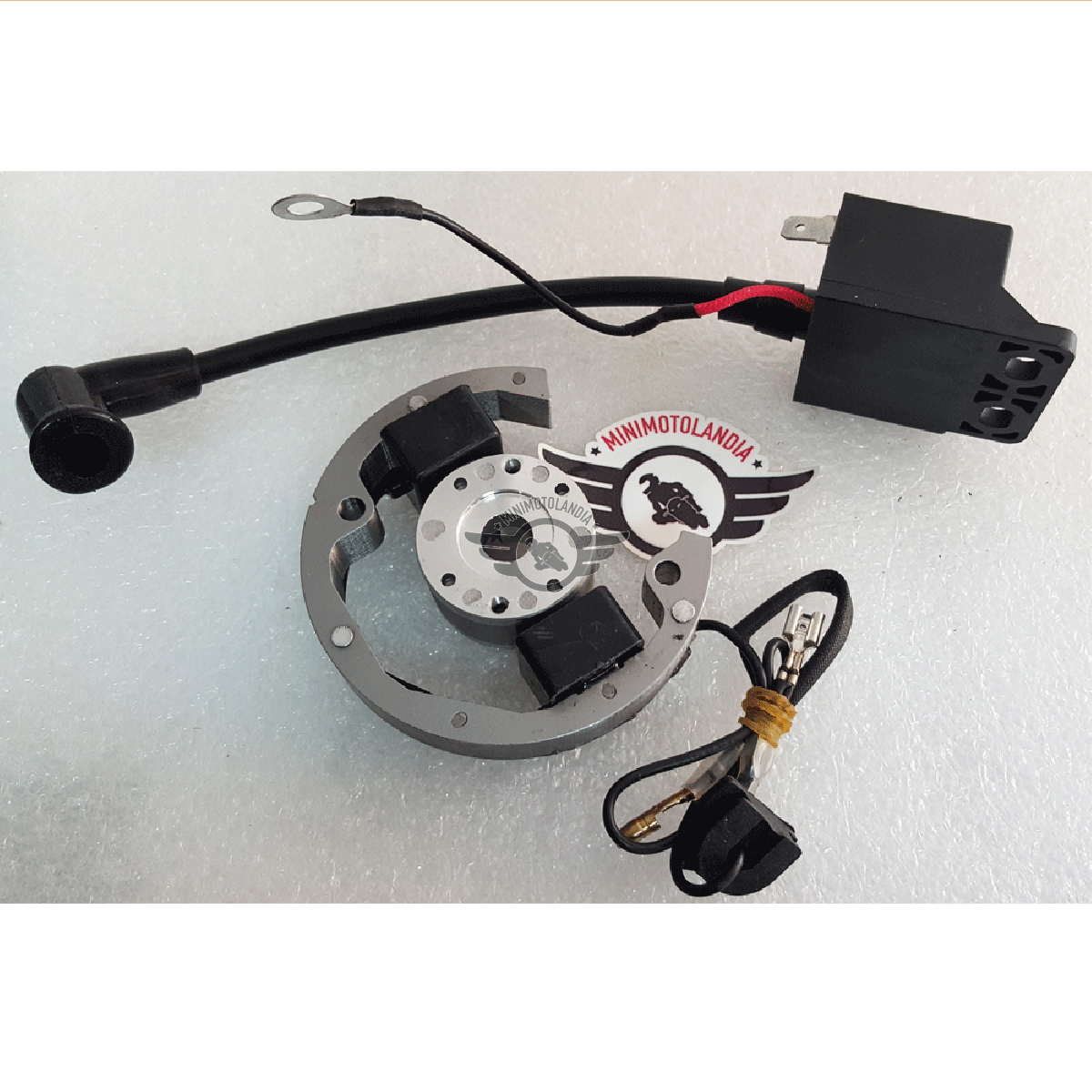 Statore Accensione Rotore Completo E Bobina per Replica KTM 50 ...