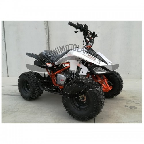 Vendita e Ricambi per Minimoto | Minimotolandia